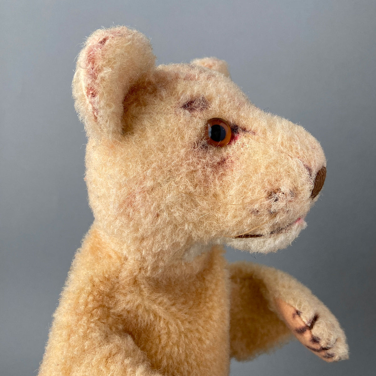 Vintage Lioness Hand Puppet ~ 1950s – Once Upon A Puppet