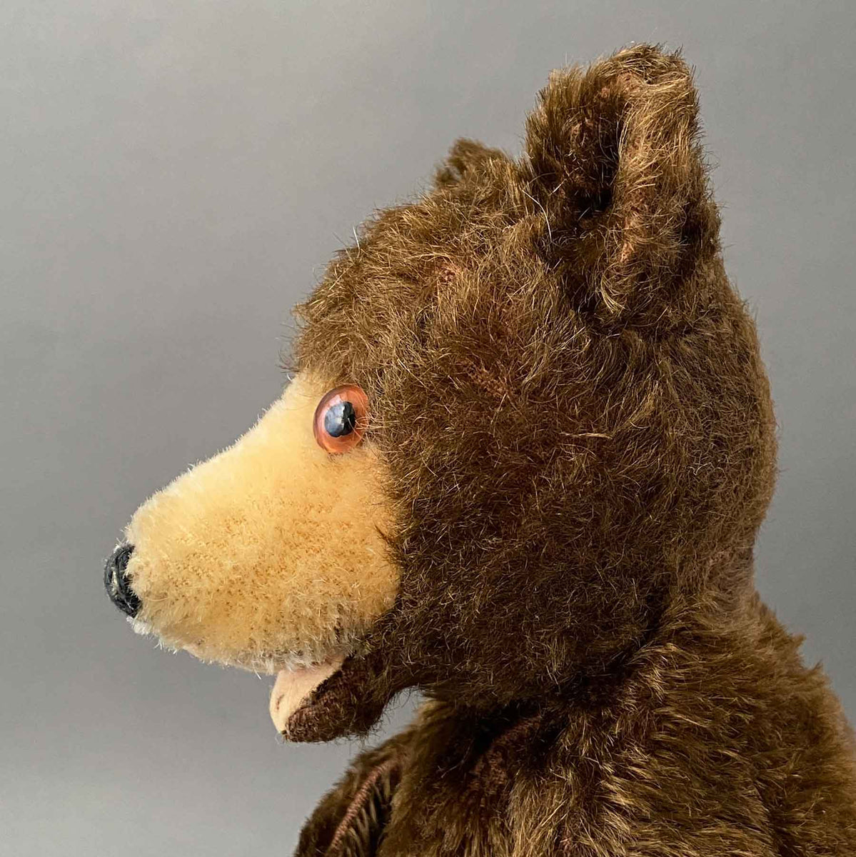 Vintage STEIFF Teddy BEAR Hand Puppet ~ Early Model 1936-50s Rare ...