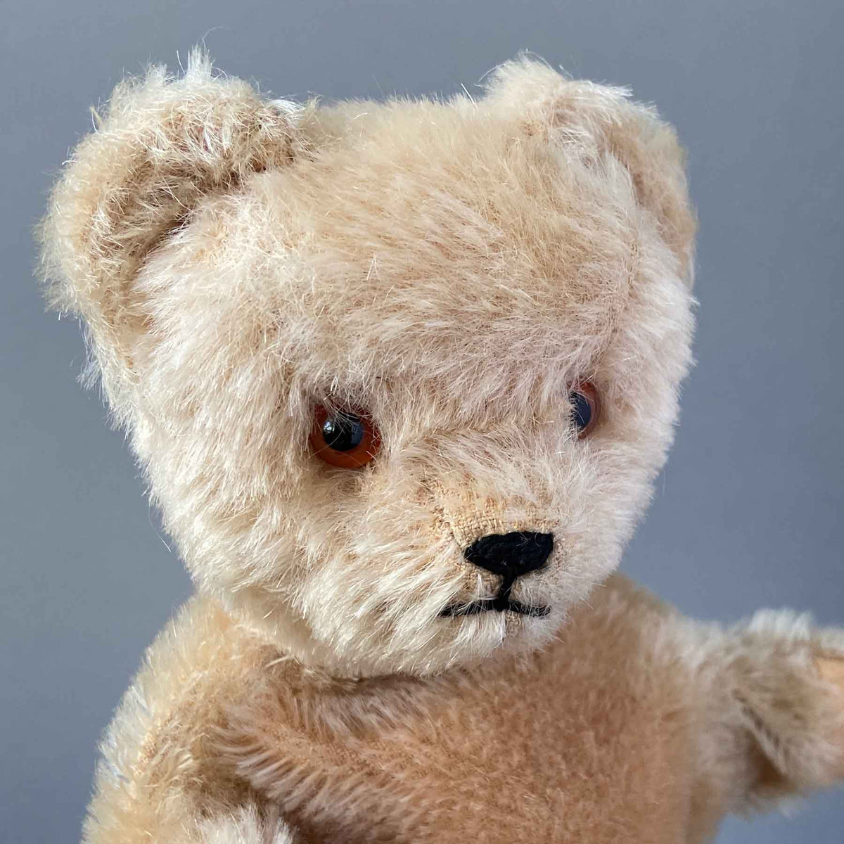 Vintage SCHUCO Teddy Bear Hand Puppet ~ 1950s Rare! – Once Upon A Puppet