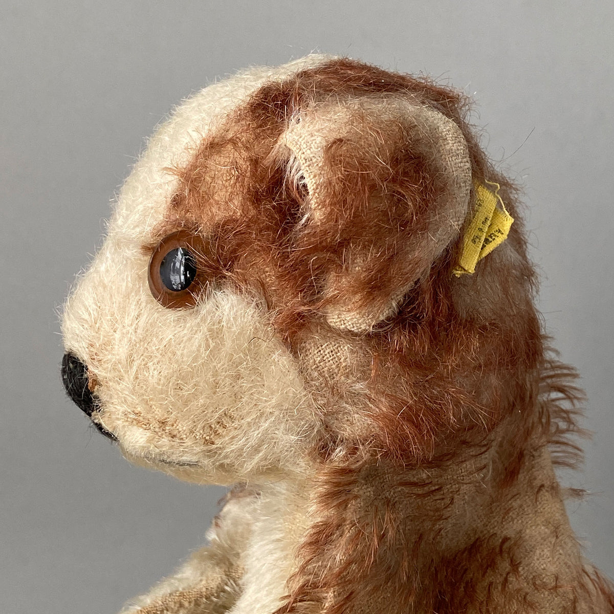 Antique STEIFF Molly Dog Hand Puppet ~ 1936-43 Rare! – Once Upon A Puppet
